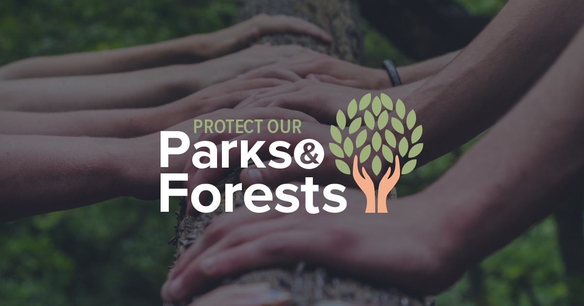 Protect Our Parks and Forests | PA Conservation